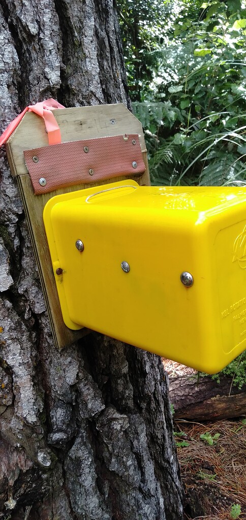 Timms trap usage - TRAP.NZ Forums