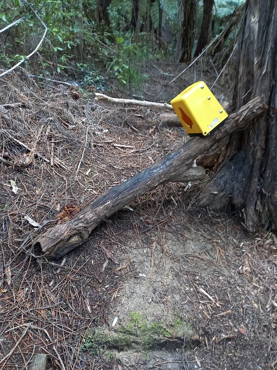 Traps: What works and what doesn't - Predator Control strategy - TRAP ...