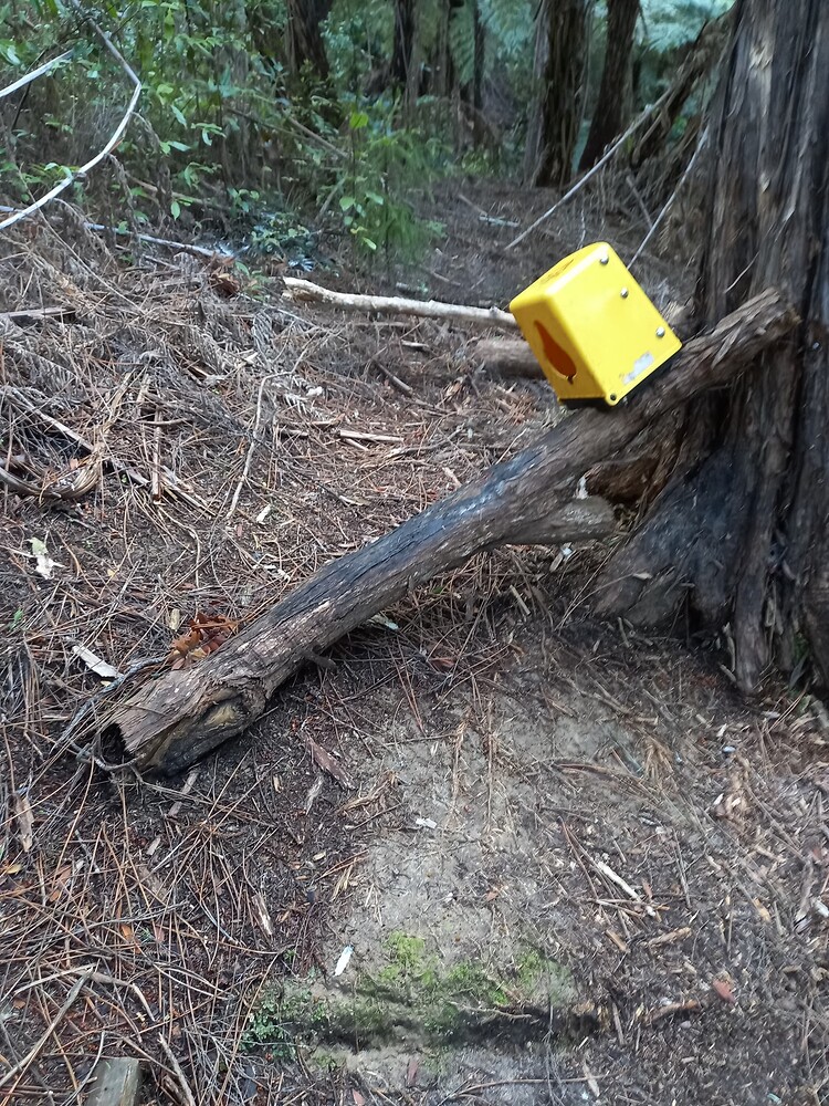 Traps: What works and what doesn't - Predator Control strategy - TRAP ...