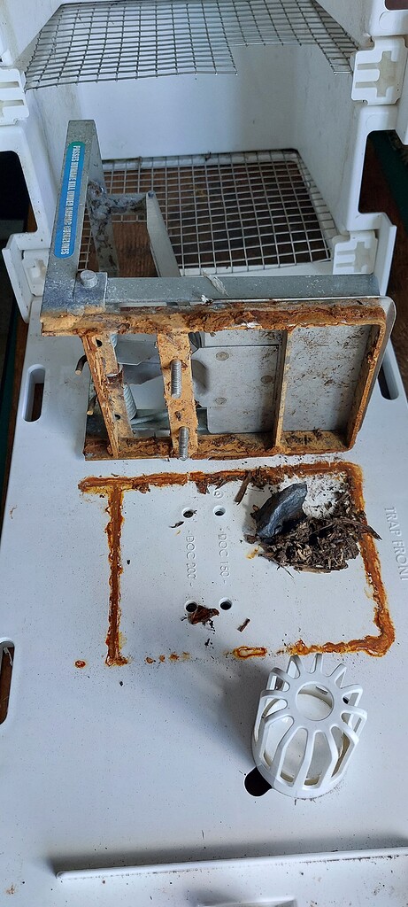 Trapinator setup - Predator Control strategy - TRAP.NZ Forums